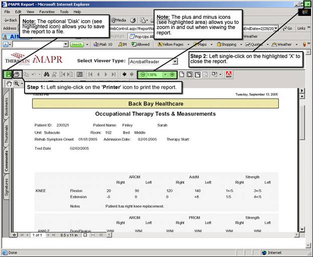 Step 5: Viewing and Printing the Report