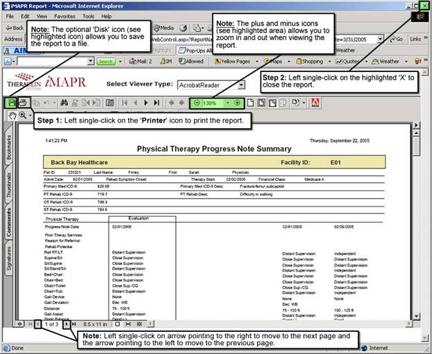 Step 3: Viewing and printing the report